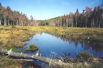 Northern Pond | Town of Monroe